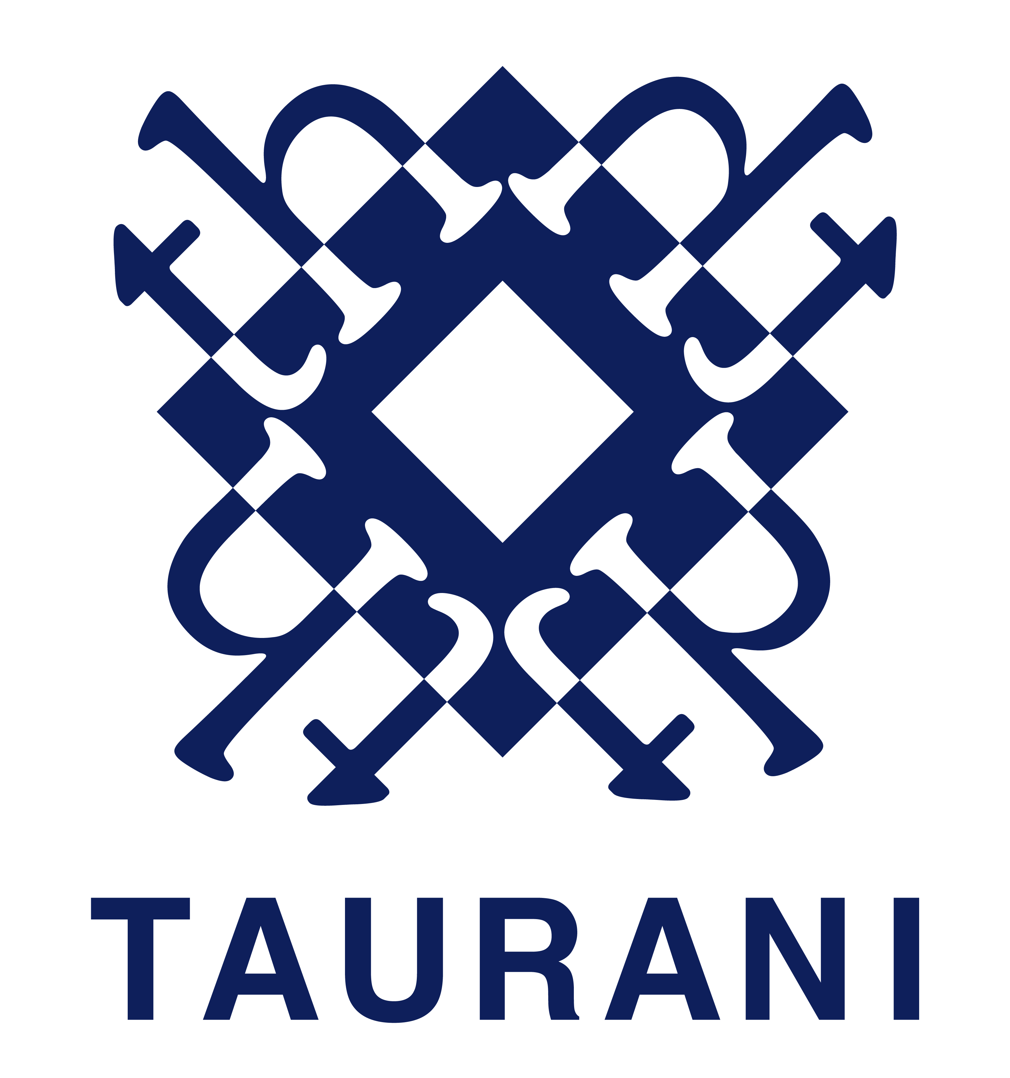 Taurani Holdings Ltd. I An iconic conglomerate